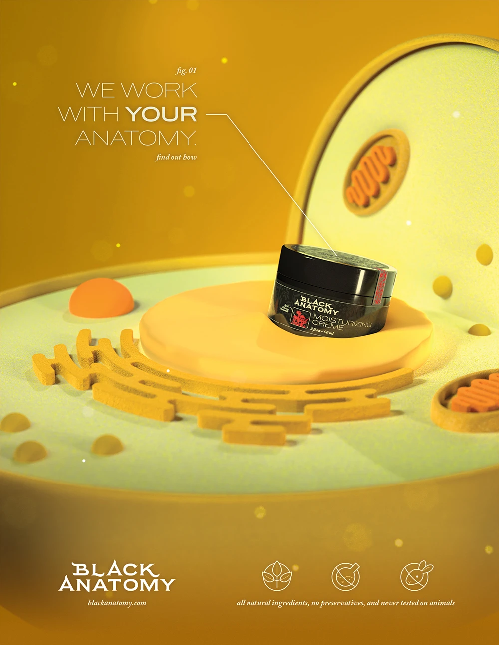 Black Anatomy | Jackson Murphy Design